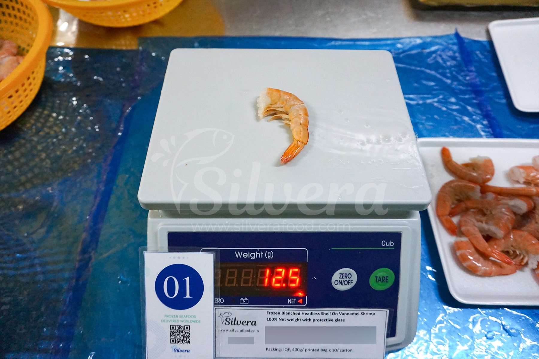 Blanched headless shell on vannamei ready for shipment