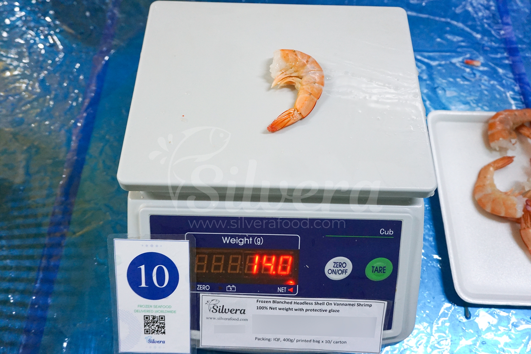 Blanched headless shell on vannamei ready for shipment