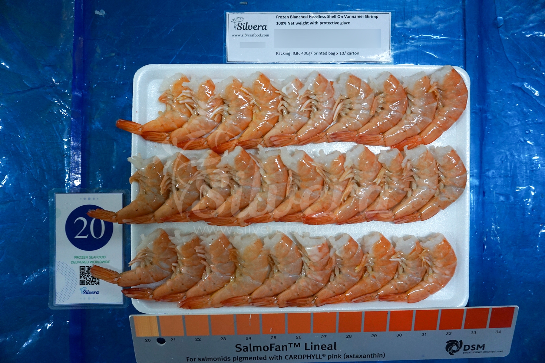 Blanched headless shell on vannamei ready for shipment