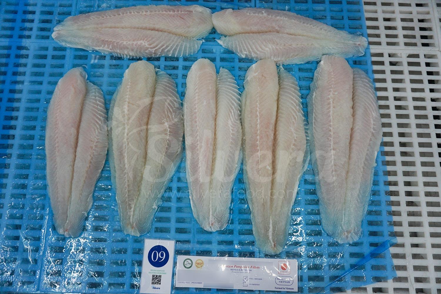 Basa fillets of big sizes for the high-end market segment in India