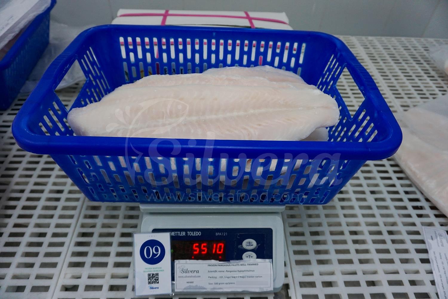 Basa fillets of big sizes for the high-end market segment in India