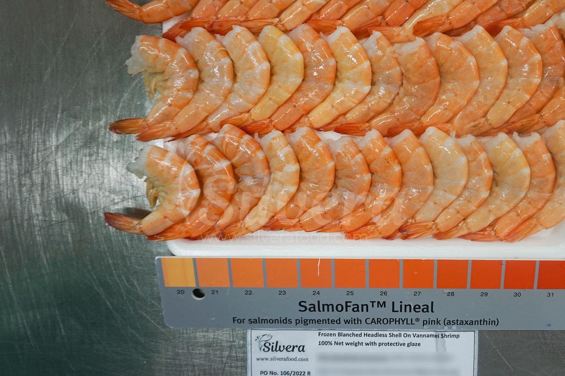 Frozen blanched headless vannamei shrimps: convenient and affordable