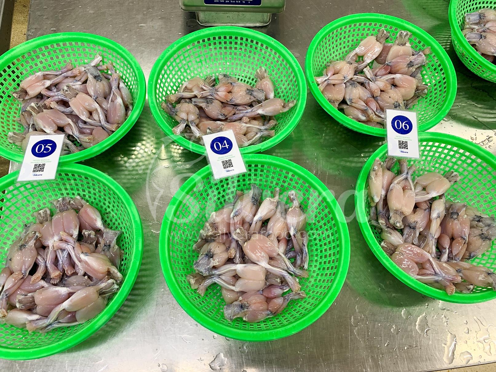 Farm-raised frog legs ready for develiery in December