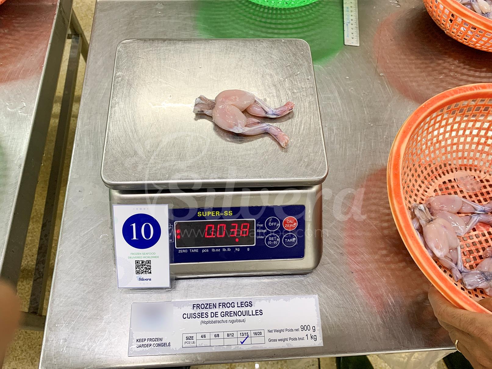 Farm-raised frog legs ready for develiery in December
