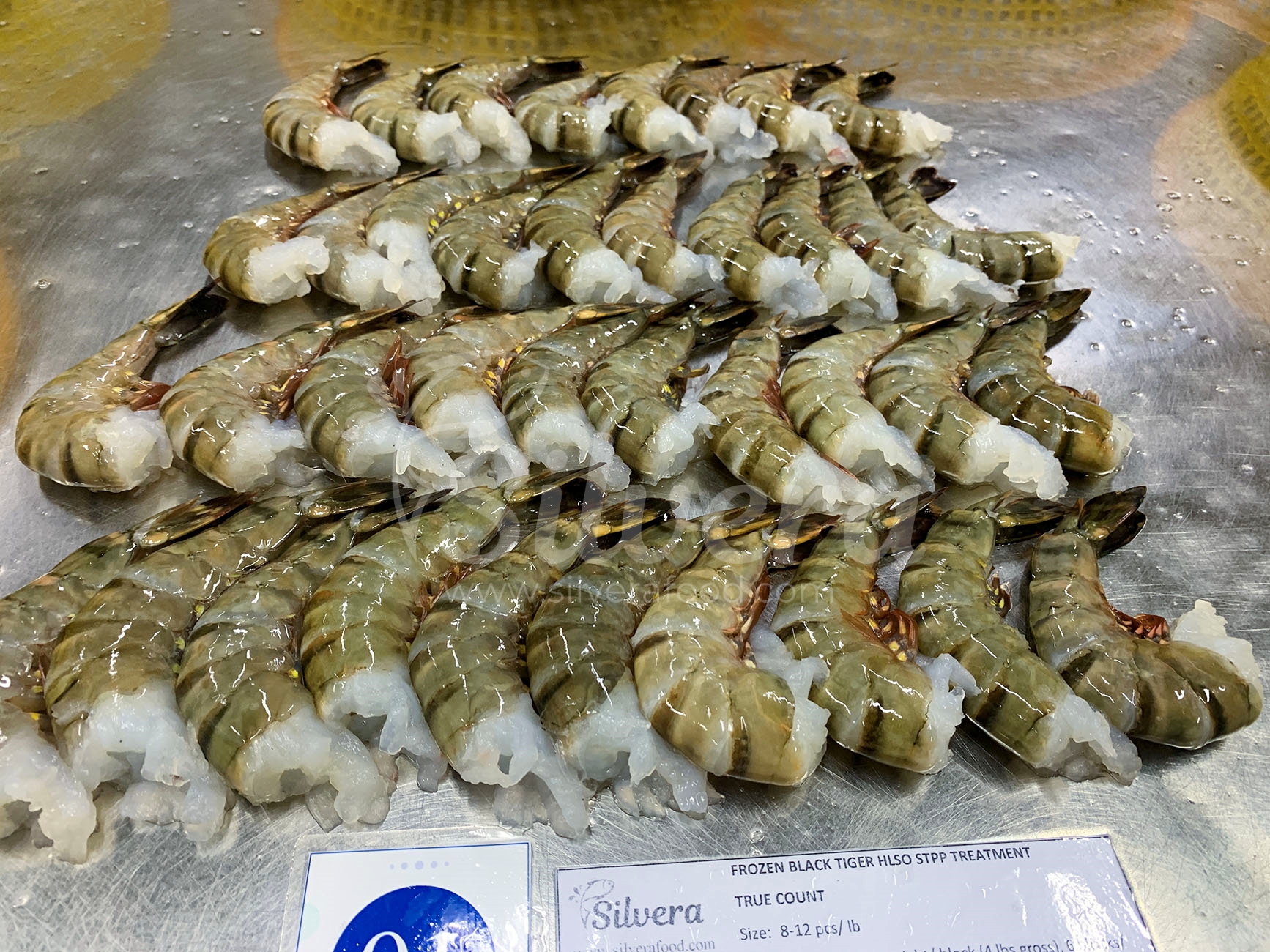 Headless black tiger shrimp of big sizes done in time for delivery in ...