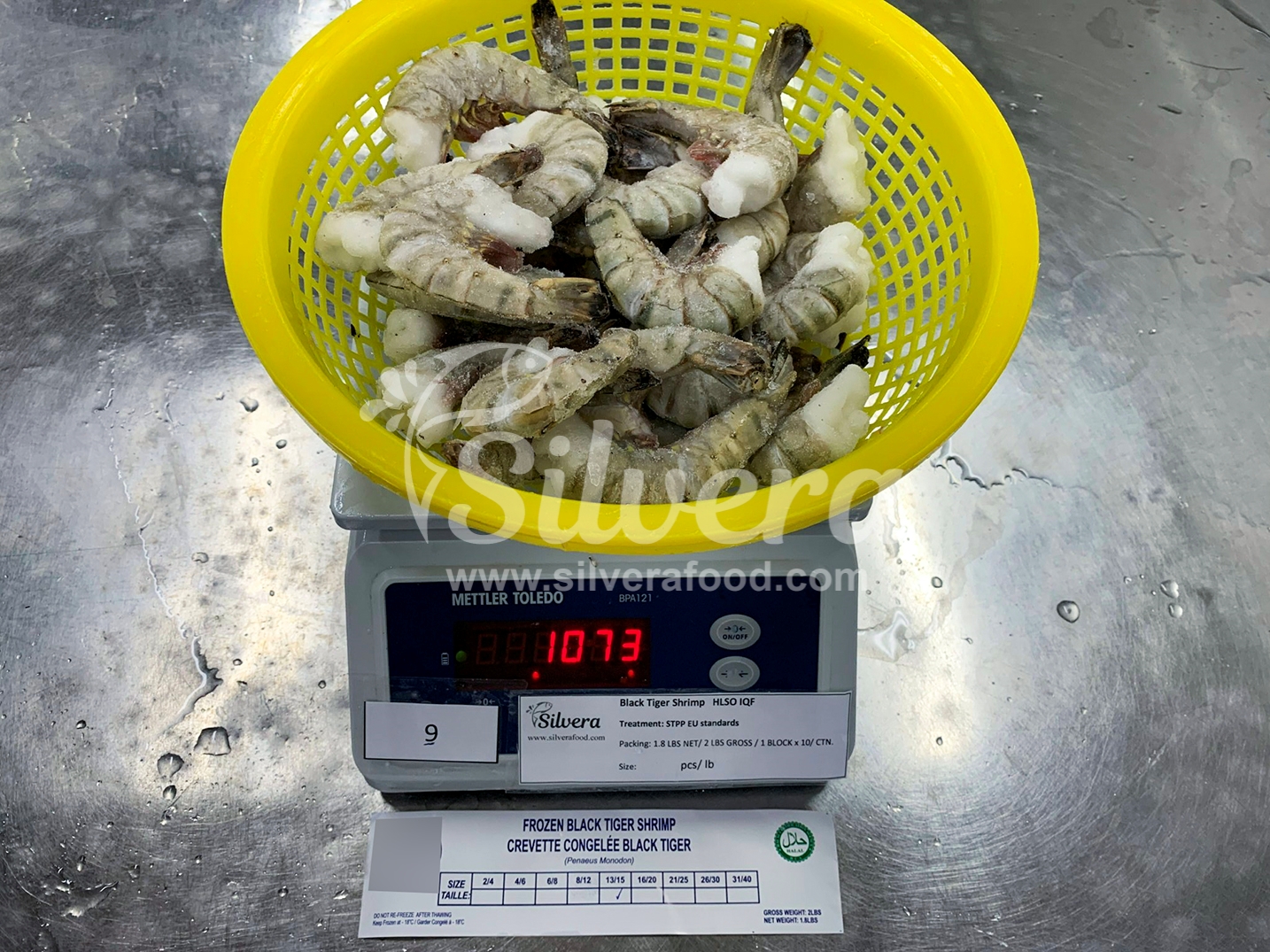 Black tiger HLSO of full sizes for the Canadian market - September shipment