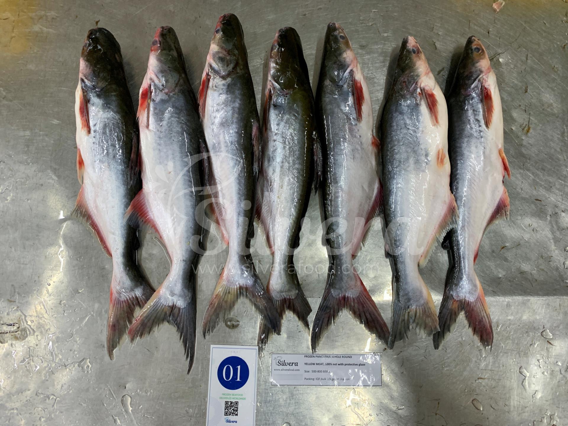 Two pangasius shipments delivered last March