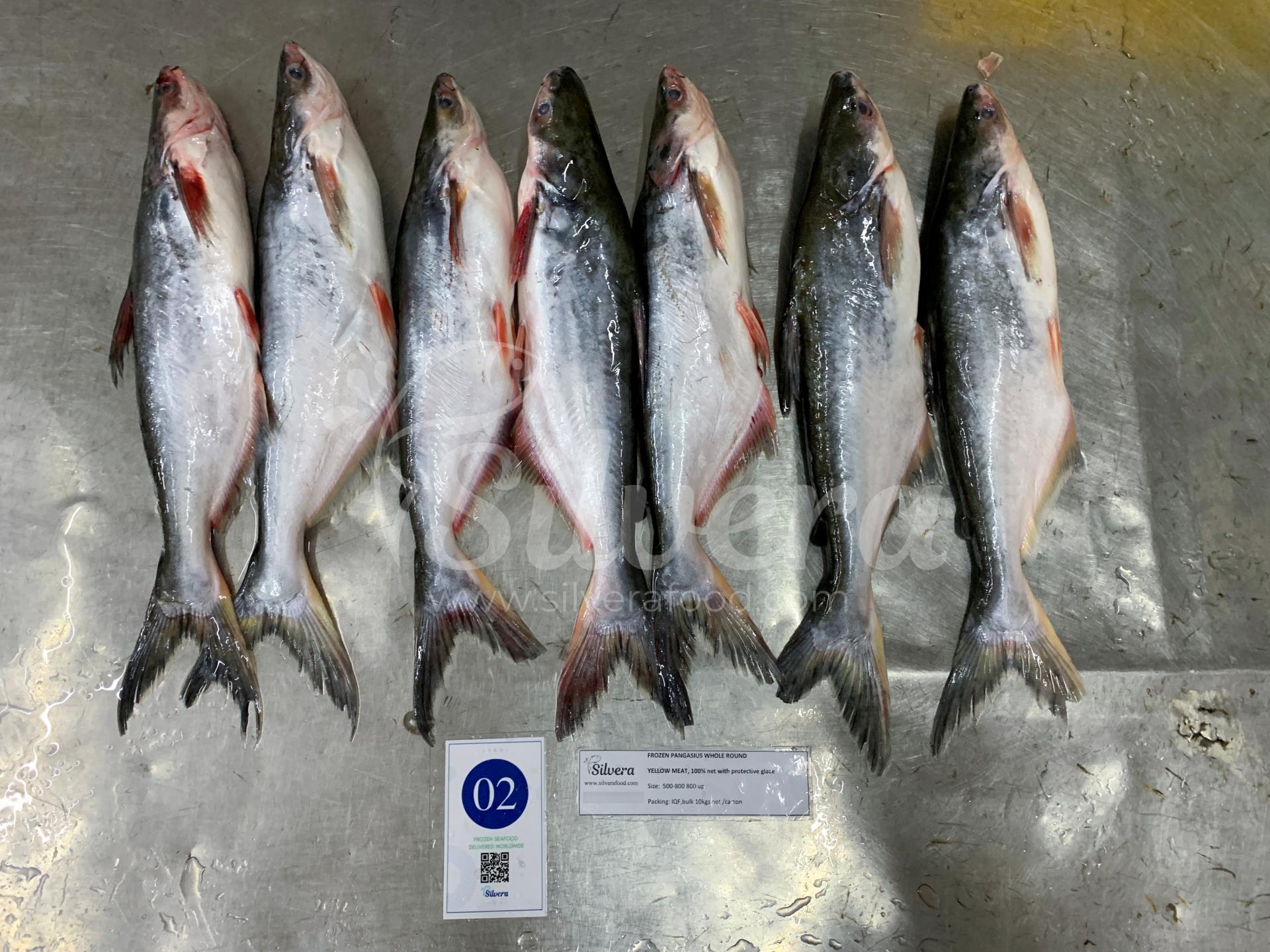 Two pangasius shipments delivered last March