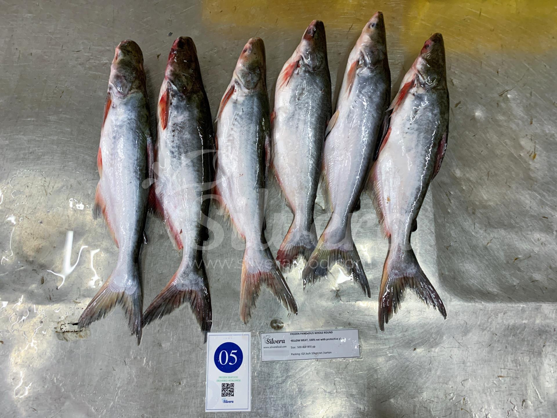 Two pangasius shipments delivered last March