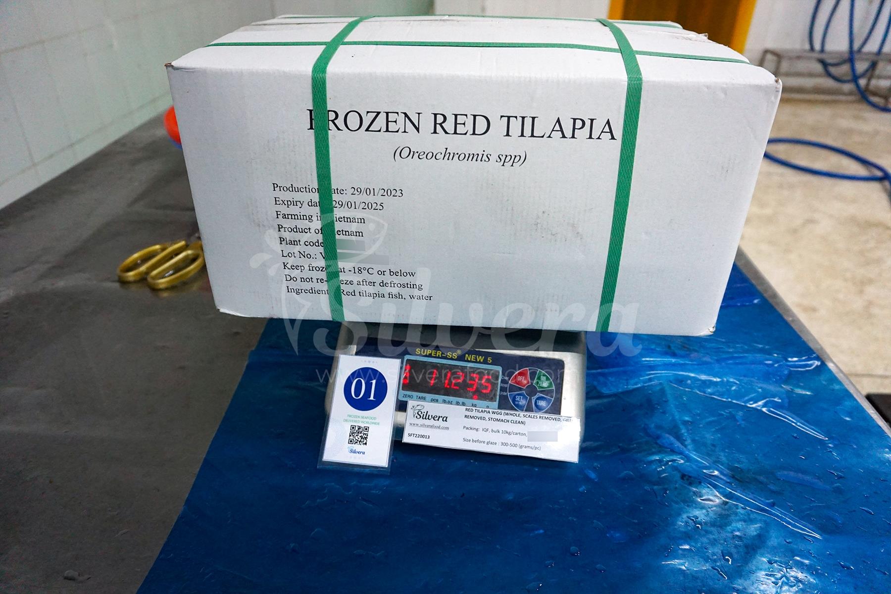Red tilapia whole gutted to be exported to Malaysia