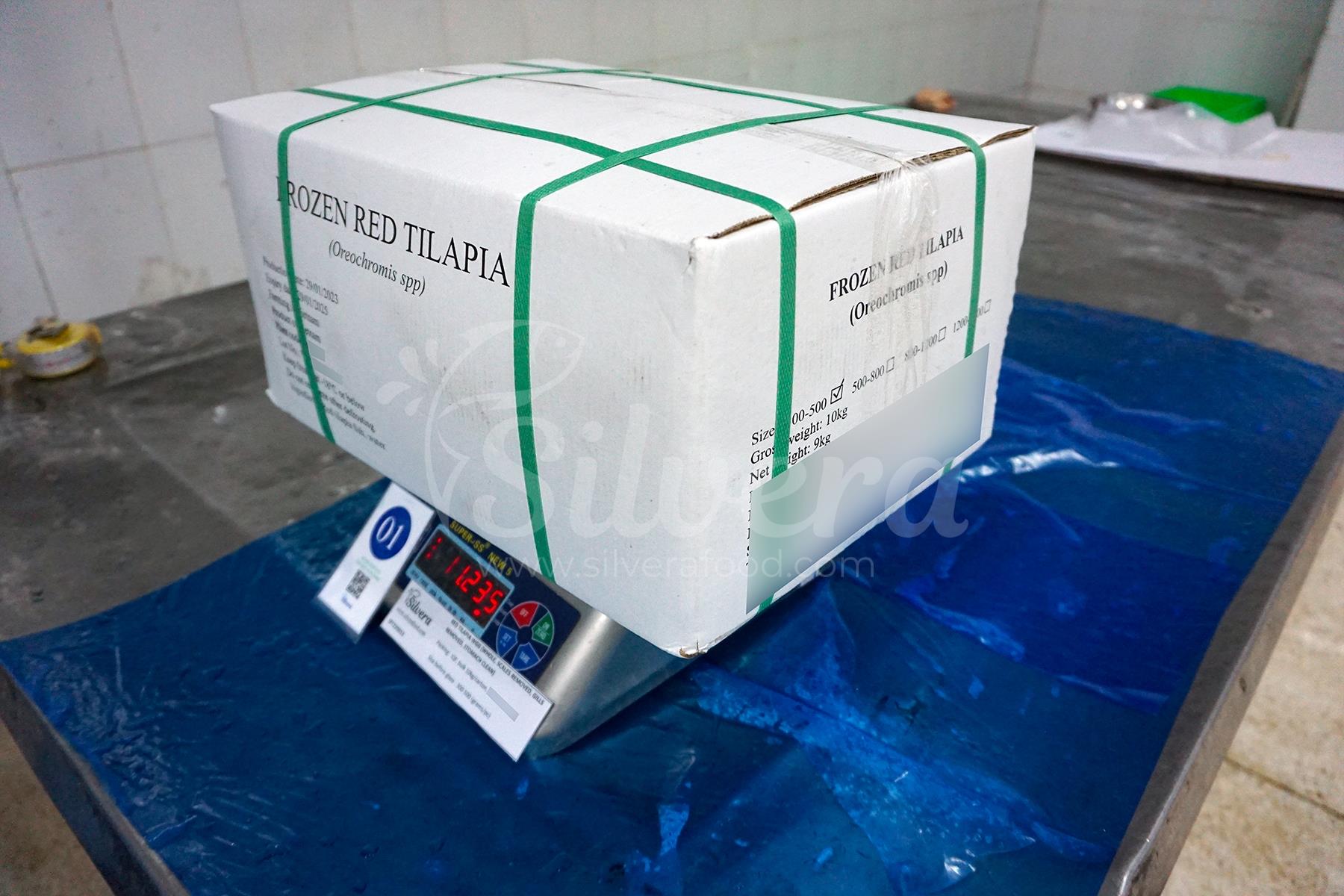 Red tilapia whole gutted to be exported to Malaysia