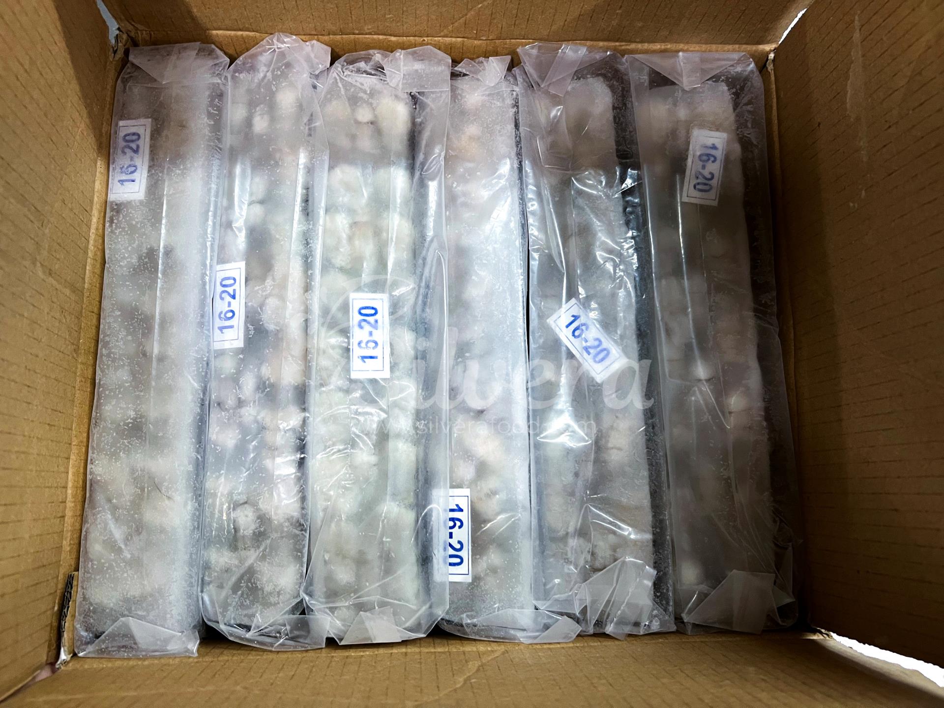 ASC vannamei shrimp meat for the HORECA sector in Hong Kong