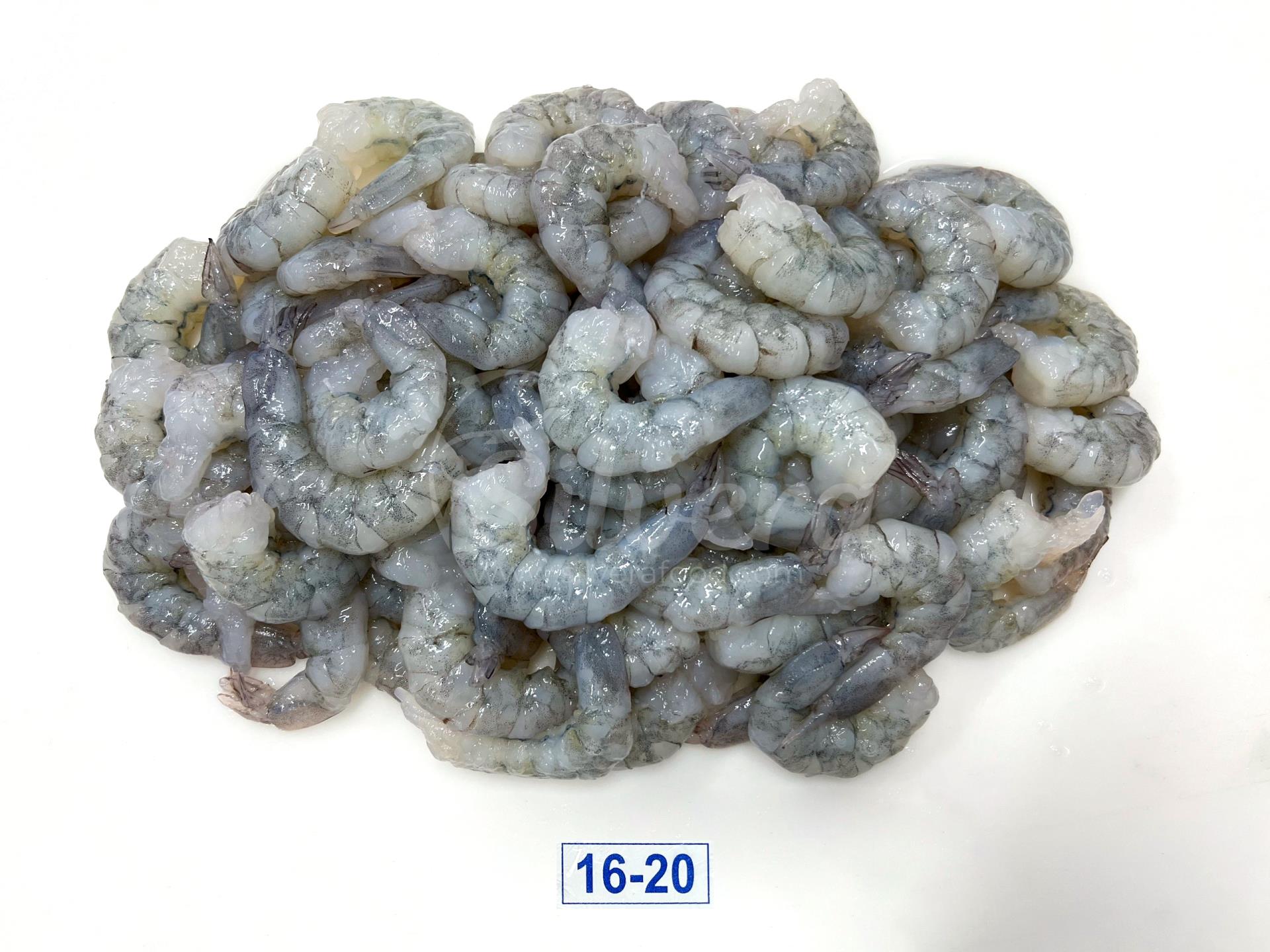 ASC vannamei shrimp meat for the HORECA sector in Hong Kong