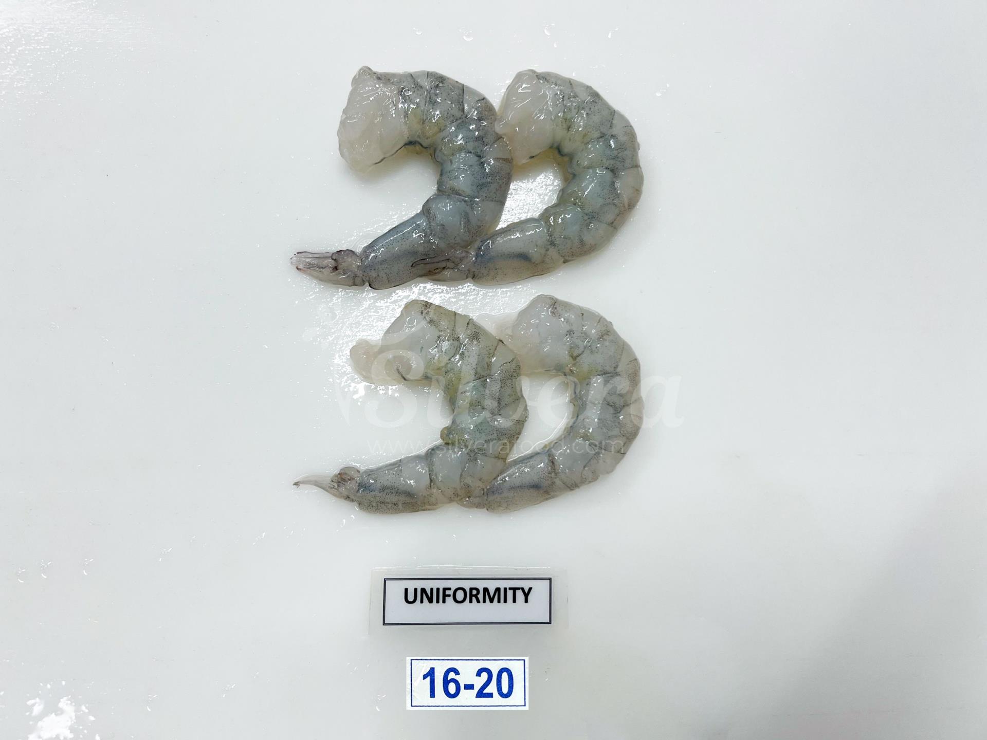 ASC vannamei shrimp meat for the HORECA sector in Hong Kong