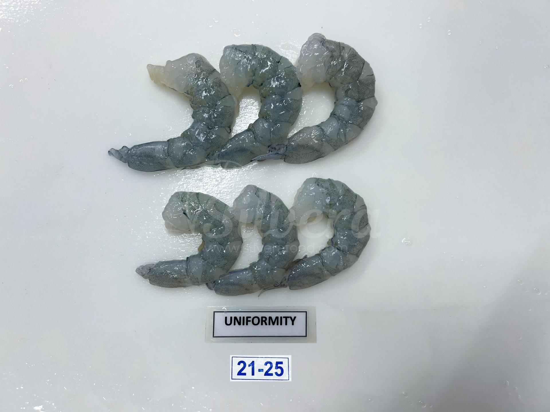 ASC vannamei shrimp meat for the HORECA sector in Hong Kong