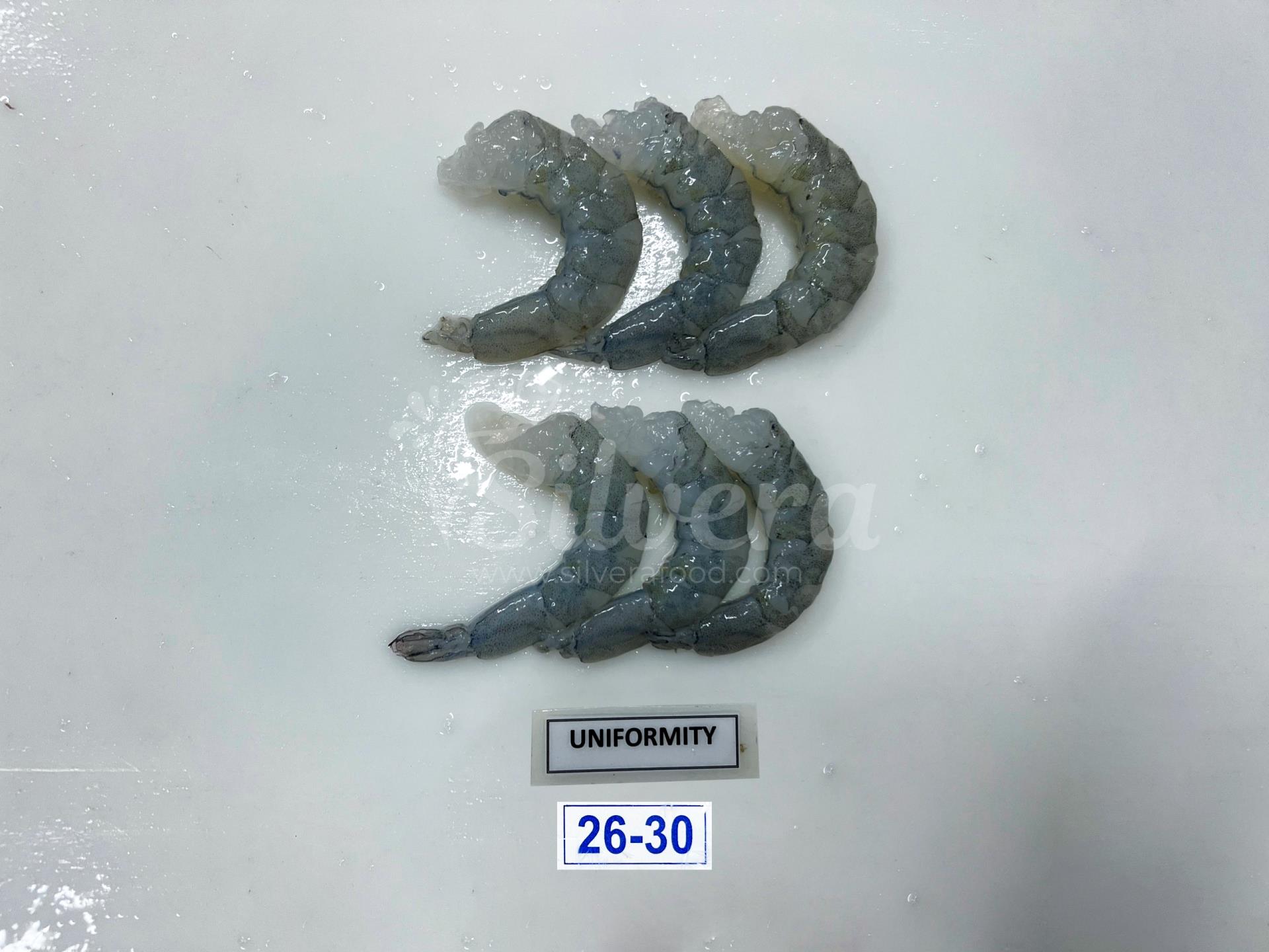 ASC vannamei shrimp meat for the HORECA sector in Hong Kong