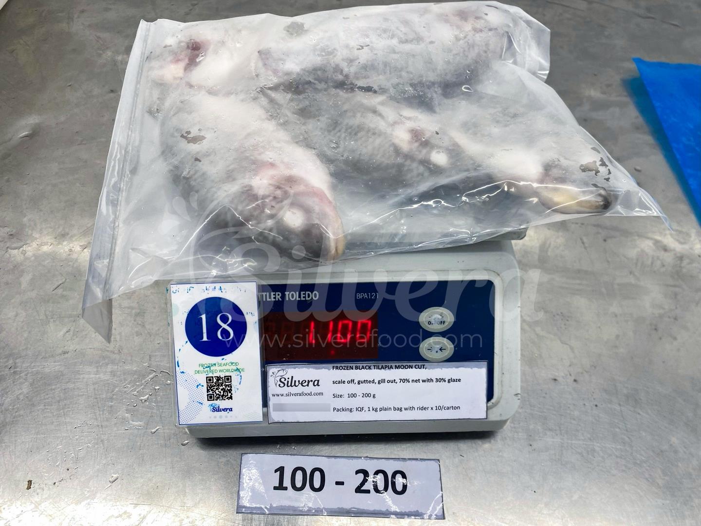 Whole cleaned moon-cut black tilapia ready for delivery