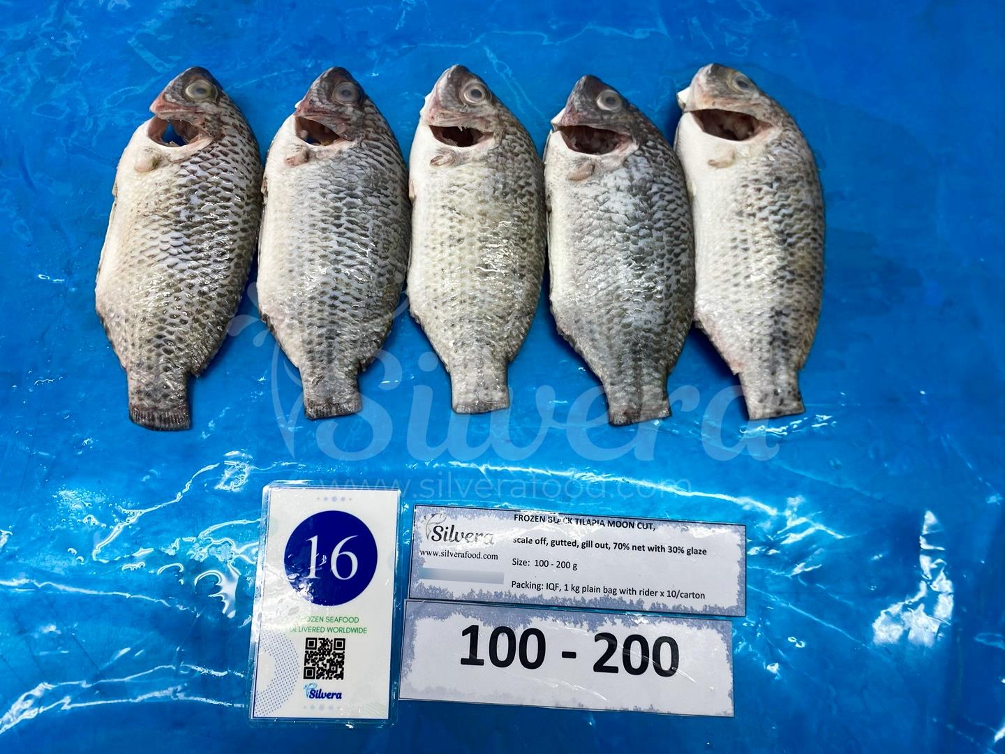 Whole cleaned moon-cut black tilapia ready for delivery