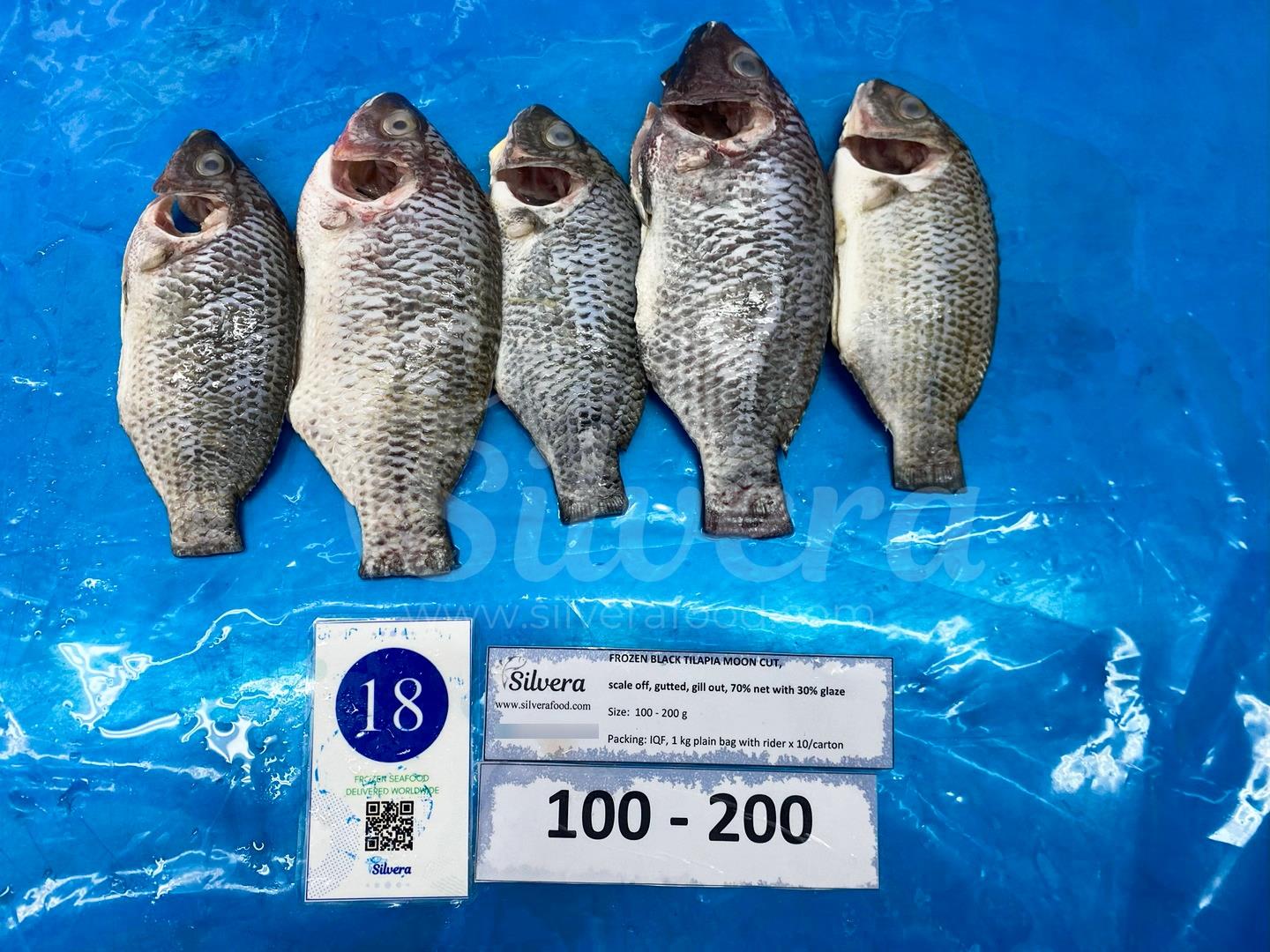 Whole cleaned moon-cut black tilapia ready for delivery