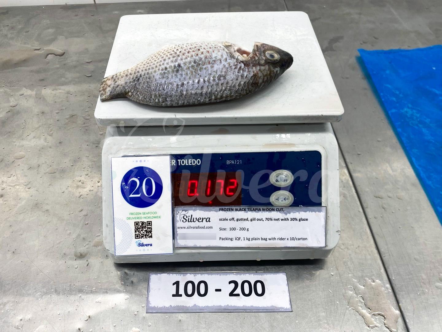 Whole cleaned moon-cut black tilapia ready for delivery