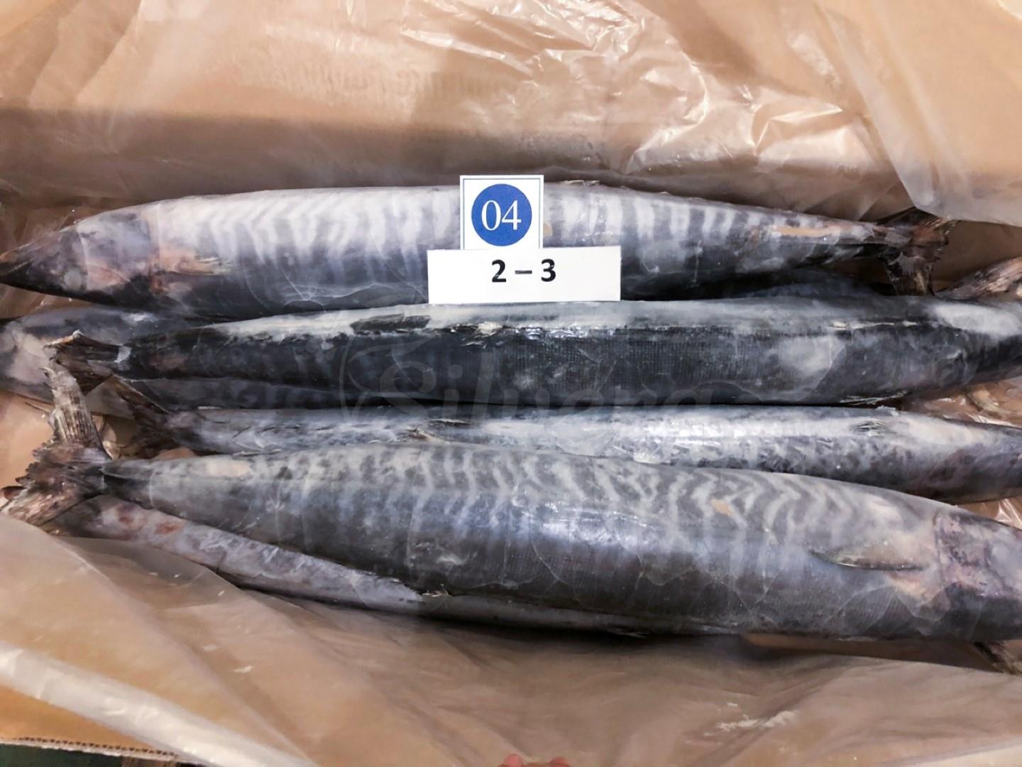 More mixed containers sent to the Southeast Asian markets