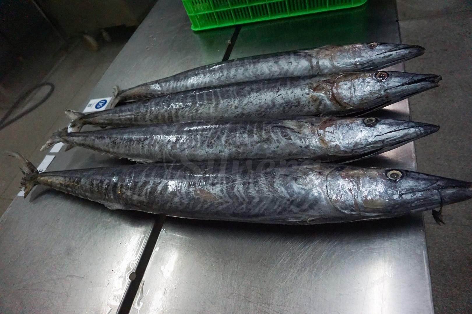 More mixed containers sent to the Southeast Asian markets