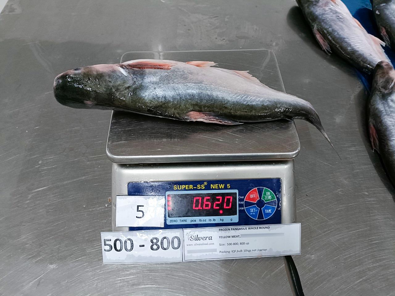Shipments of pangasius products to Malaysia and Mali