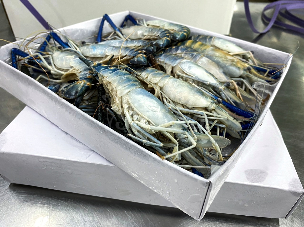 Hong Kong’s seafood medley: A symphony of flavors