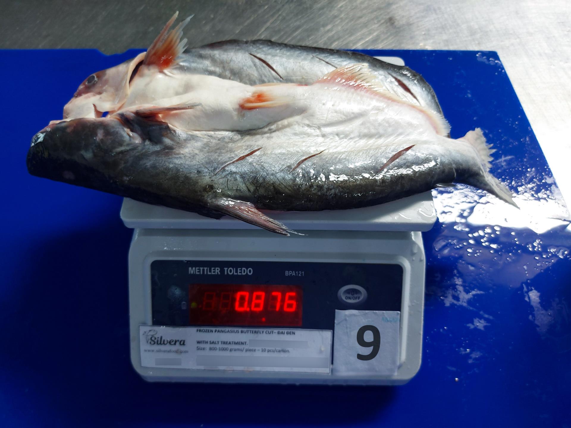 CELEBRATING ANOTHER SUCCESSFUL MIXED CONTAINER SHIPMENT TO OUR LOYAL ...