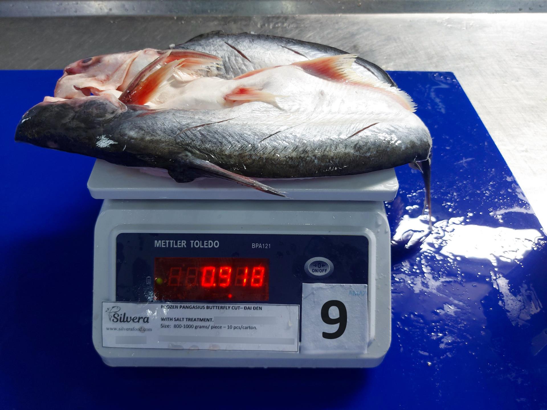 CELEBRATING ANOTHER SUCCESSFUL MIXED CONTAINER SHIPMENT TO OUR LOYAL ...