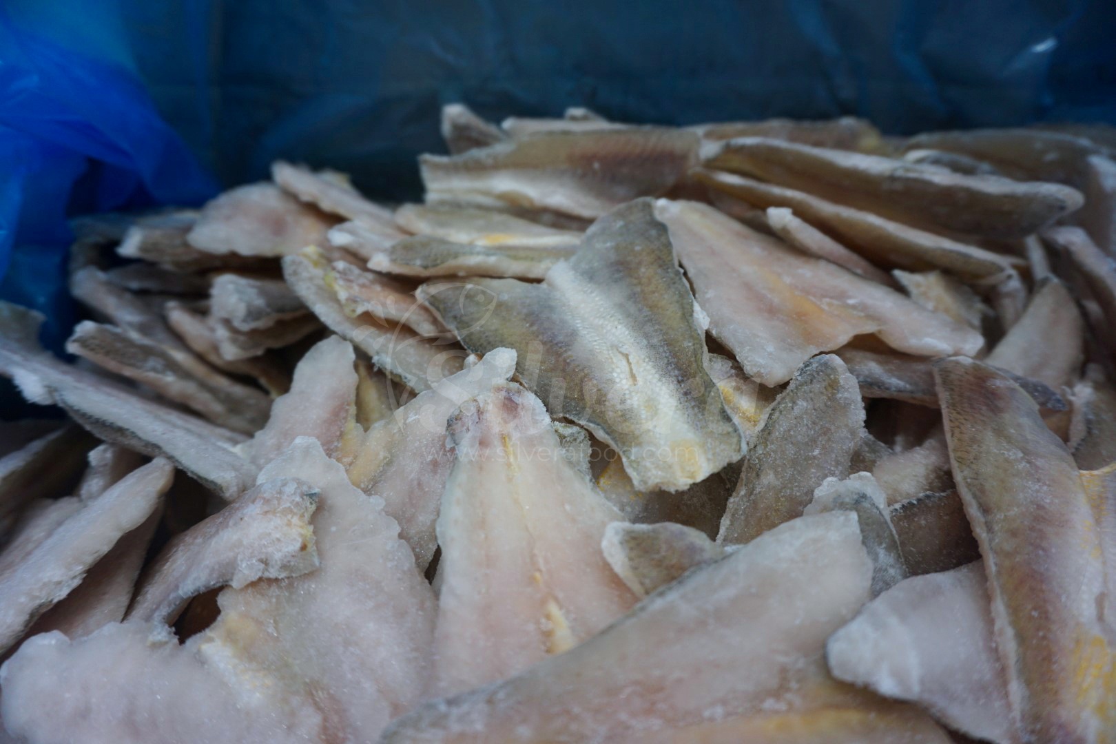 Custom fish processing services with Silvera Food