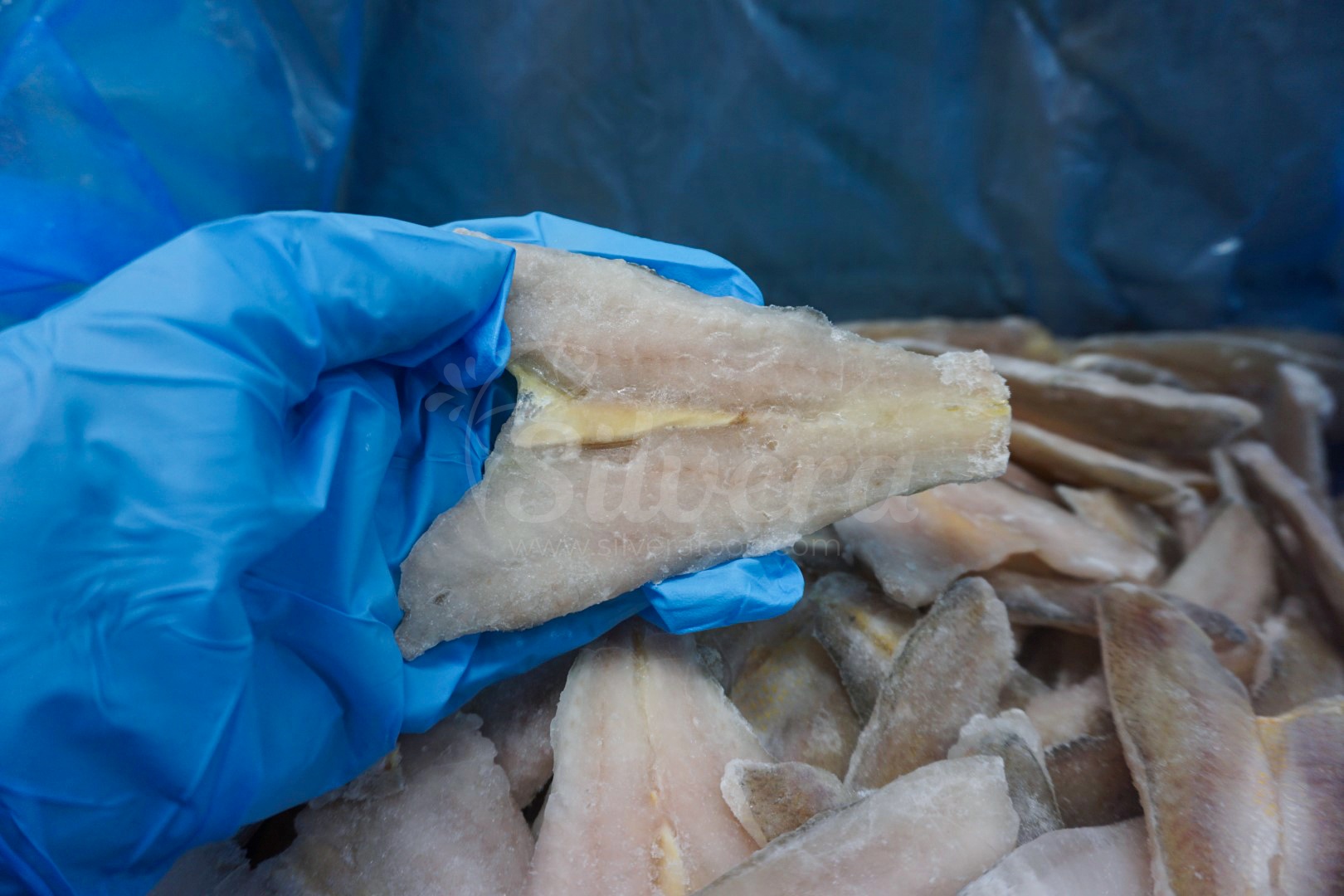 Custom fish processing services with Silvera Food