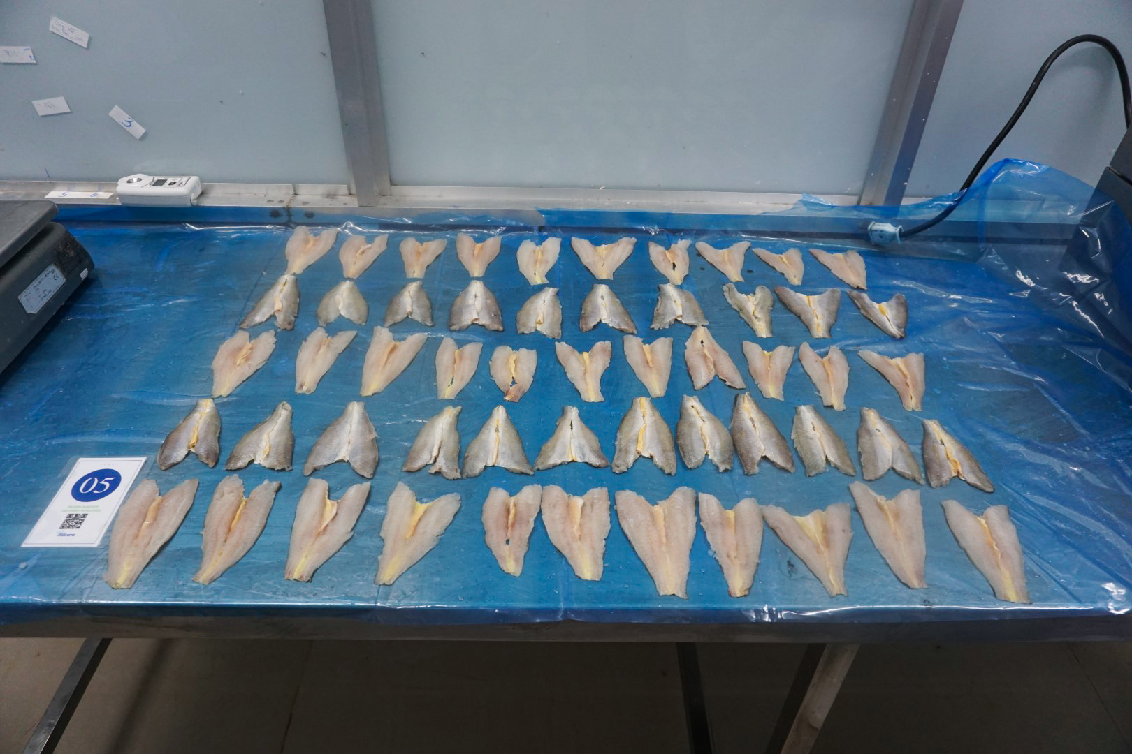 Custom fish processing services with Silvera Food