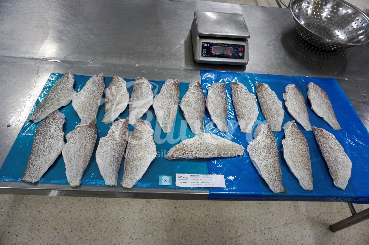 Grouper & Barramundi Fillets For Hong Kong