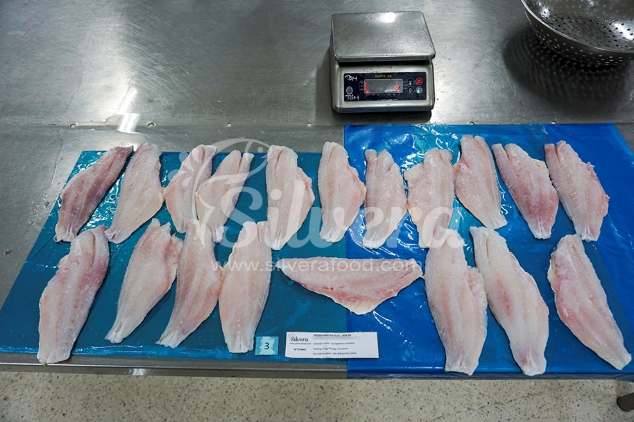 Grouper & Barramundi Fillets For Hong Kong