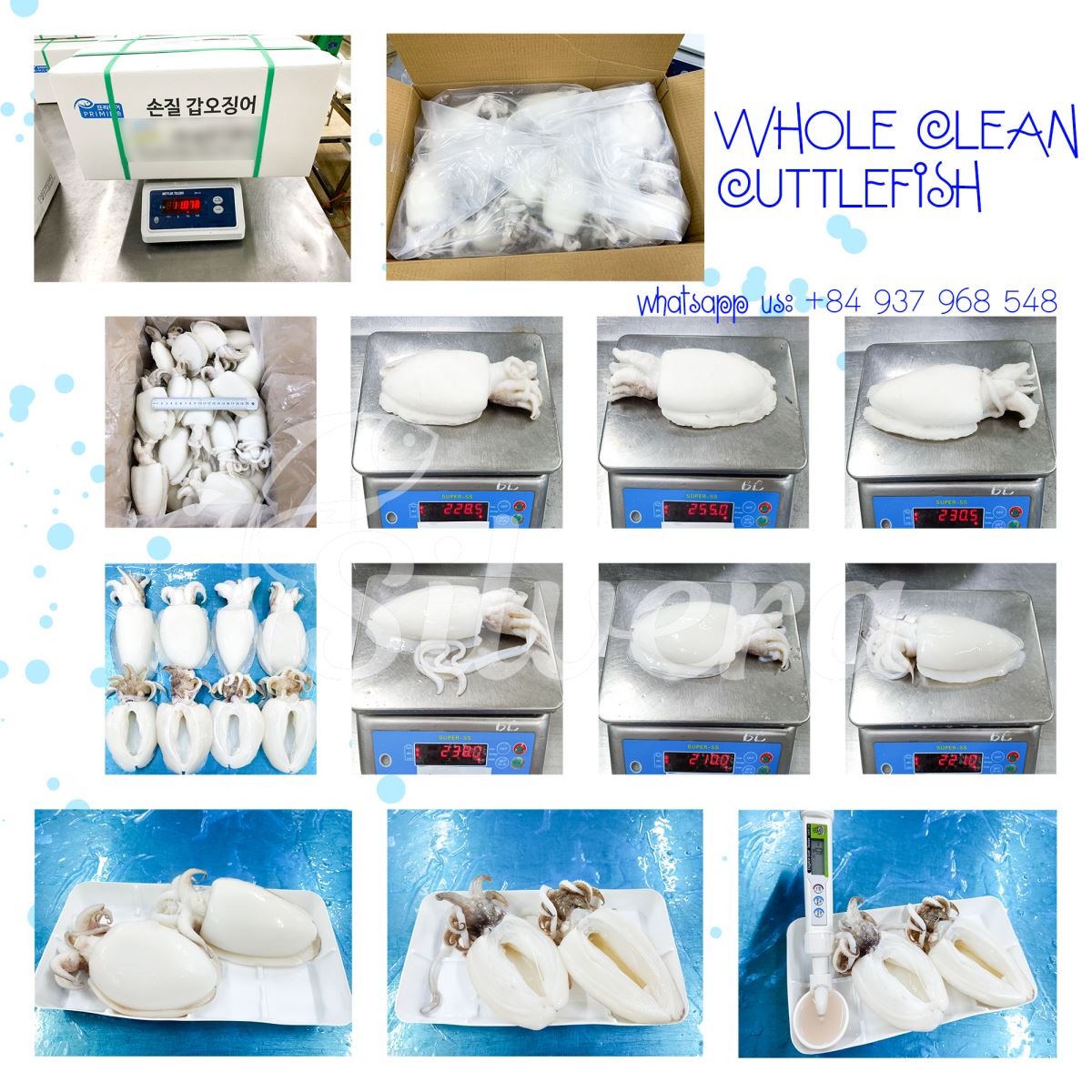 Fulfillment Of A Whole Clean Cuttlefish Shipment To Korea